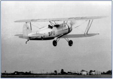 엘시 맥길 - 페미위키